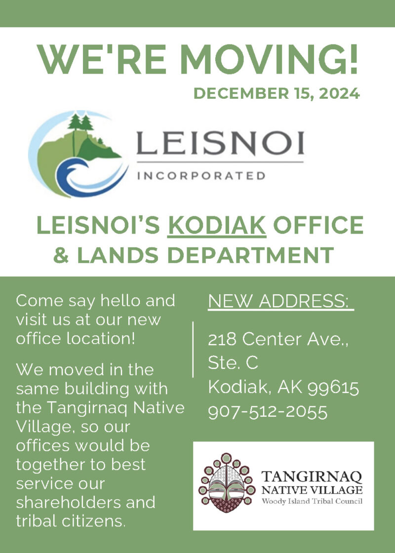 Leisnoi – An Alaska Native Corporation