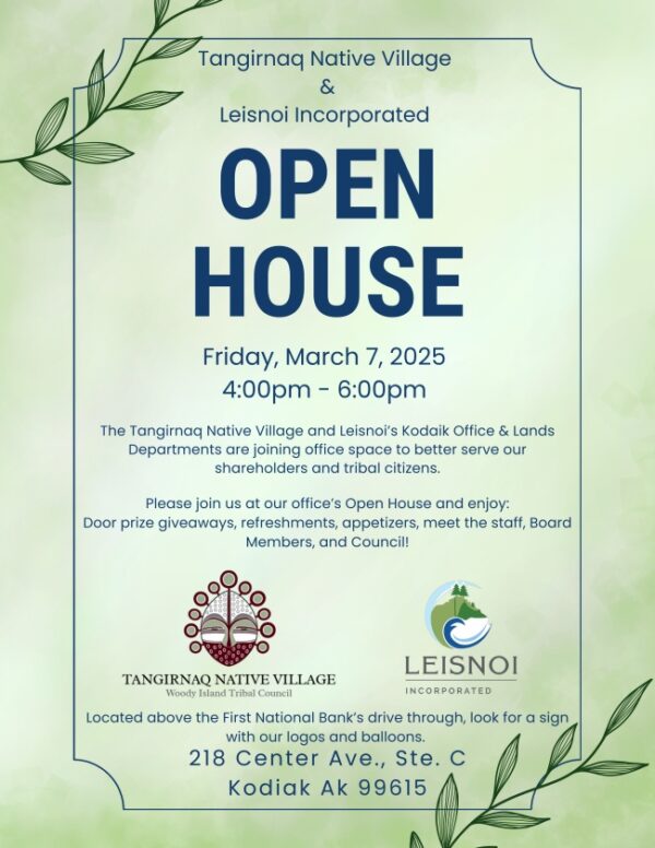 Leisnoi – An Alaska Native Corporation